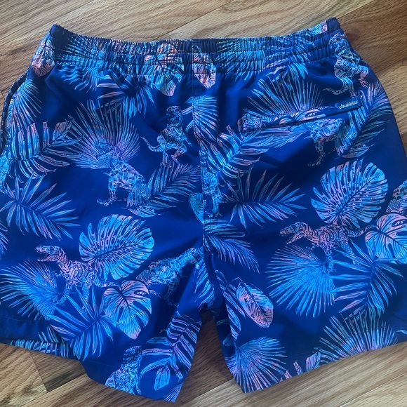 chubbies | Swim | Chubbies Swim Trucks | Poshmark